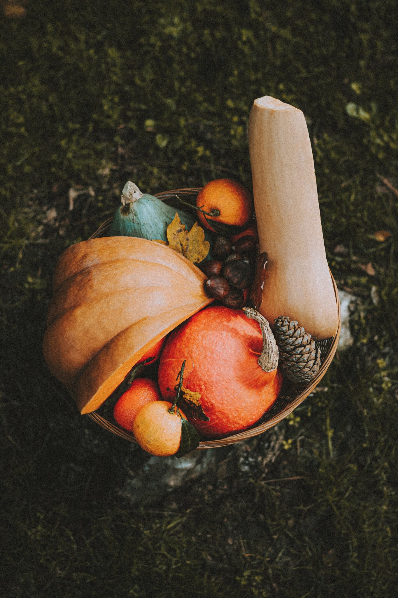 6 Essential Tasks for your Fall Yard Cleanup