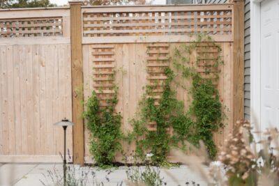 12 Modern Fence Ideas | The Patio Company