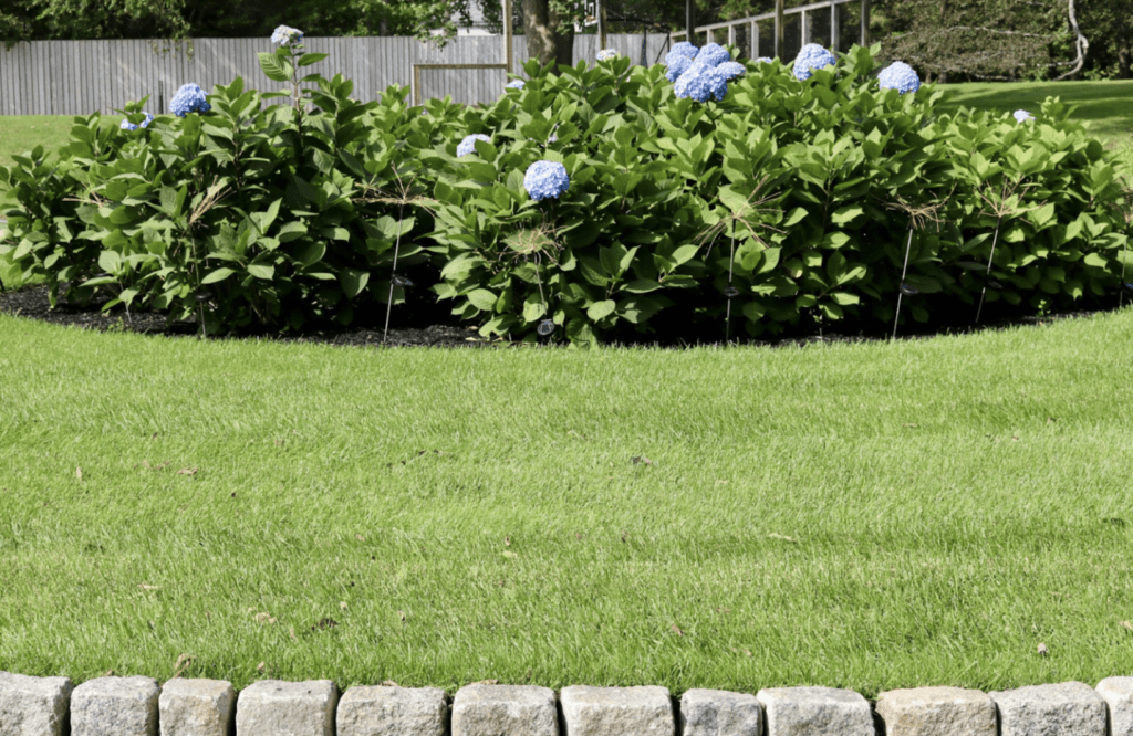 10 Ideas for a Beautiful Winter Garden Matched to Your Style of Home